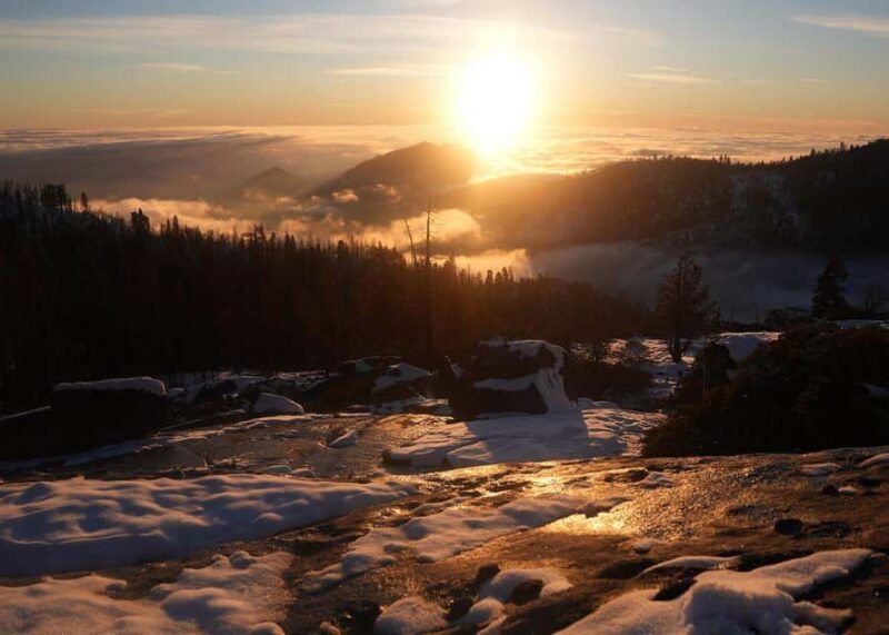 Private Day Tour to Sequoia and Kings Canyon Parks From LA - Practical Considerations