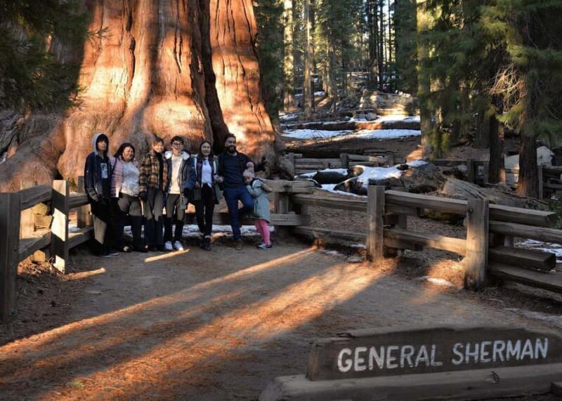 Private Day Tour to Sequoia and Kings Canyon Parks From LA - The Sum Up: Who Is This Tour Perfect For?