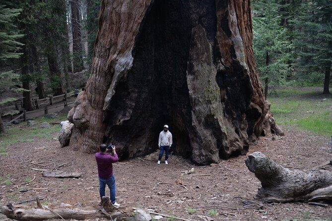 Private Day Tour to Sequoia and Kings Canyon Parks From LA - Final Thoughts: Who Is This Tour Best For?
