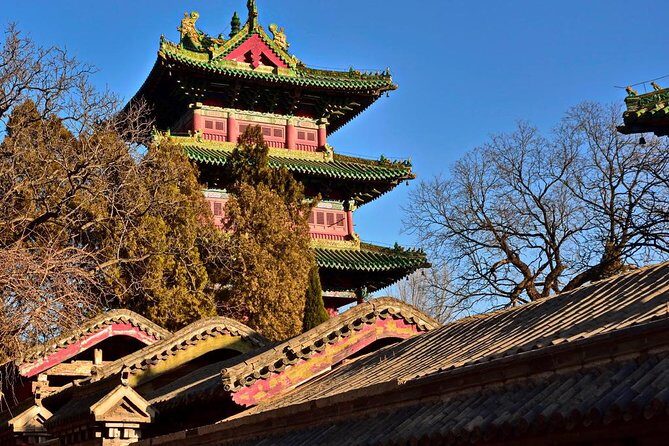 Private Day Tour to Shaolin Temple and Longmen Grottoes from Zhengzhou - The Sum Up