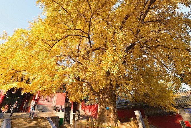 Private Day Tour to Shaolin Temple from Beijing by Bullet Train with Kungfu Show - Practical Tips