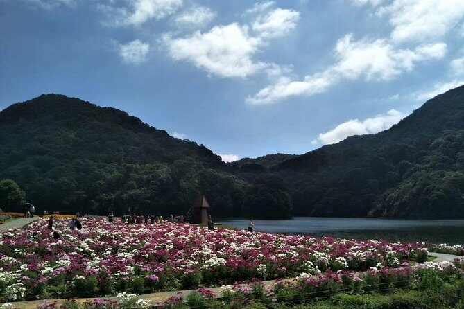 Private Day Tour to Shimen National Park from Guangzhou + Seasonal Fruit Pickup - FAQ: Common Practical Questions