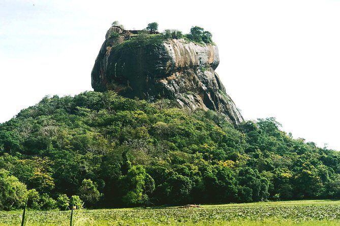 Private day tour to Sigiriya and Dambulla from Negombo - Key Points