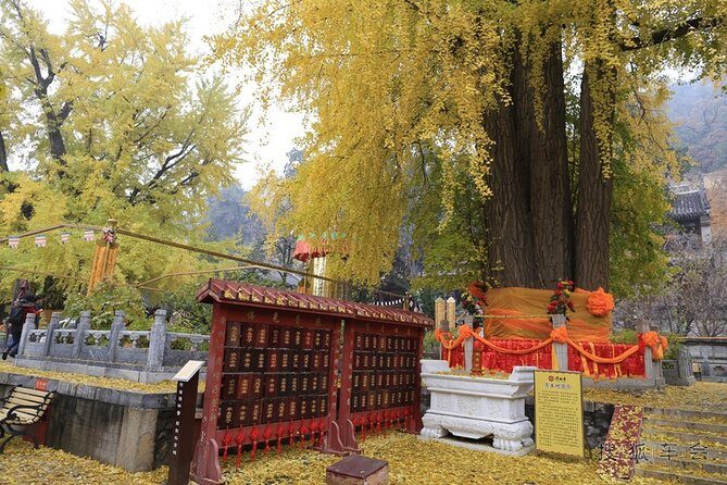 Private Day Tour to Tanzhe Temple, Jietai Temple & Summer Palace with Lunch - Final Thoughts