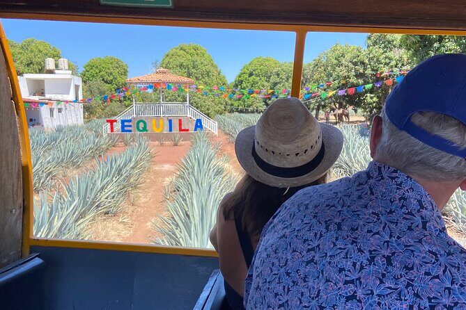 Private Day Tour to Tequila Cantaritos Factories and Castle - Who Is This Tour Best For?