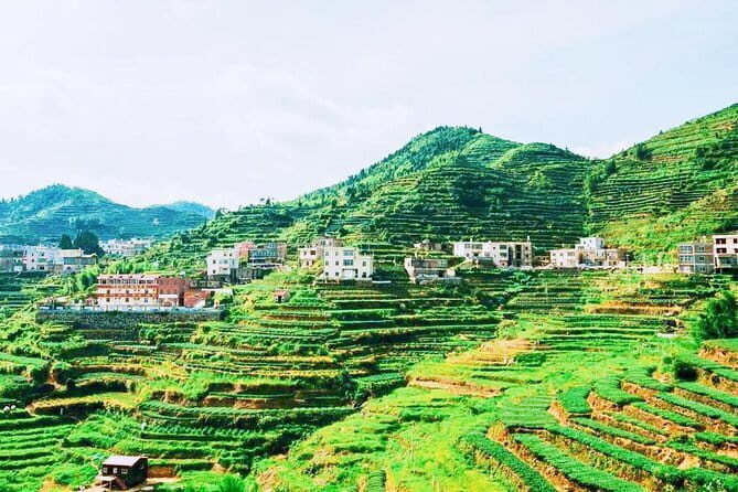 Private Day Tour to the Most Famous Scenic Xiamen Junying Village - An In-Depth Look at What the Tour Offers