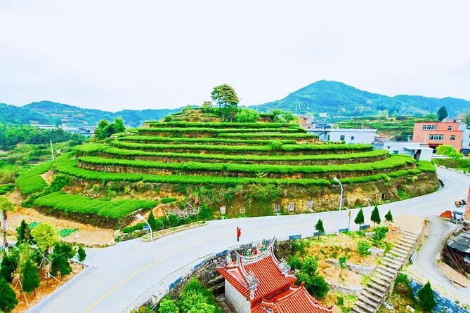 Private Day Tour to the Most Famous Scenic Xiamen Junying Village - What’s the Value? Analyzing Cost and Experience