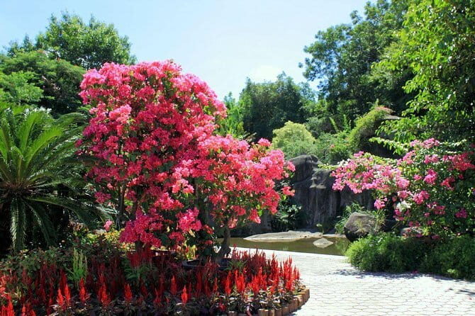 Private Day Tour to the Most Famous Scenic Xiamen Junying Village - FAQ