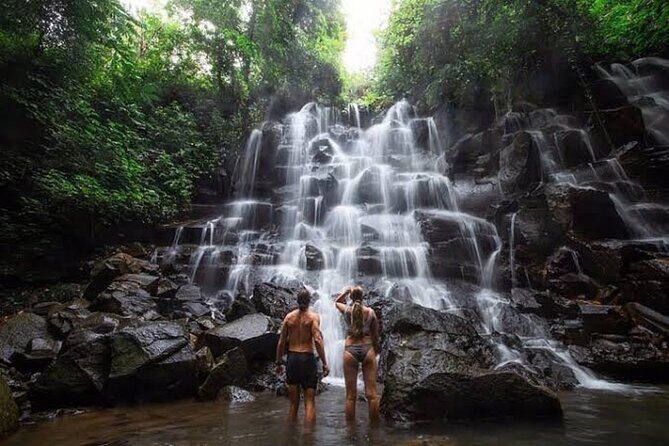 Private Day Tour To Waterfalls And Ubud Sightseeing - Introduction