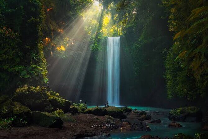 Private Day Tour To Waterfalls And Ubud Sightseeing - Key Points