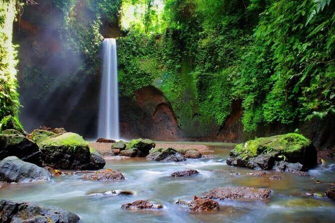 Private Day Tour To Waterfalls And Ubud Sightseeing - Who This Tour Is Best For