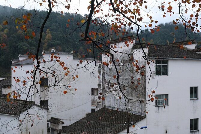 Private Day Tour to Wuyuan Huangling and Likeng villages from Tunxi in Huangshan - Why This Tour Might Be Perfect for You