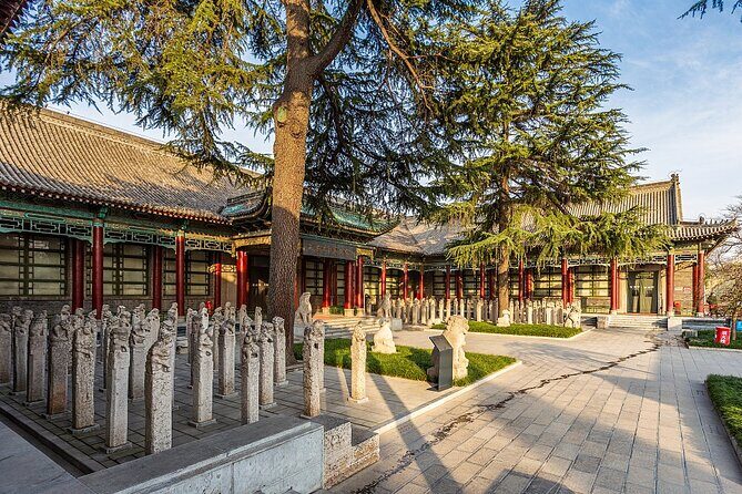 Private day tour to Xi 'an Highlights Museum - Why This Tour Stands Out