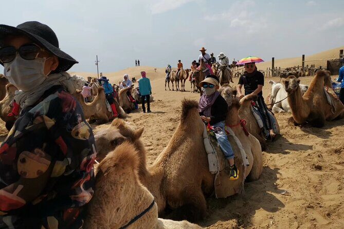Private Day Tour to Xiangshawan Desert from Hohhot - What Travelers Love: Authentic Experiences & Guides