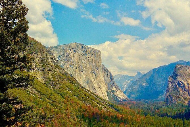 Private Day Tour to Yosemite National Park - Who Should Consider This Tour?