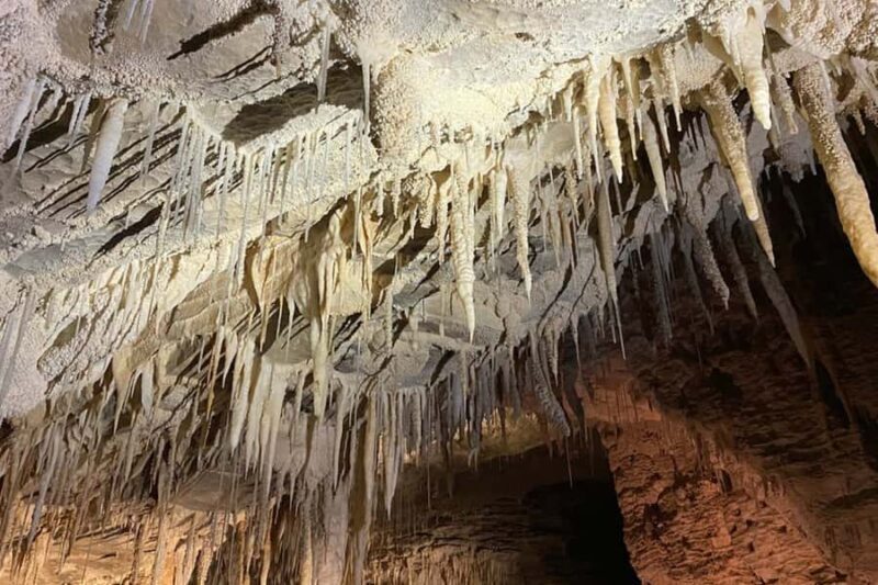 Private Day Tour: Waitomo Glowworms & Hobbiton Movie Set - The Experience at Each Stop: What You Can Expect