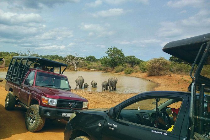Private Day Tour: Yala National Park Safari Tour from Galle & Weligama - A Thorough Look at the Yala Safari Experience