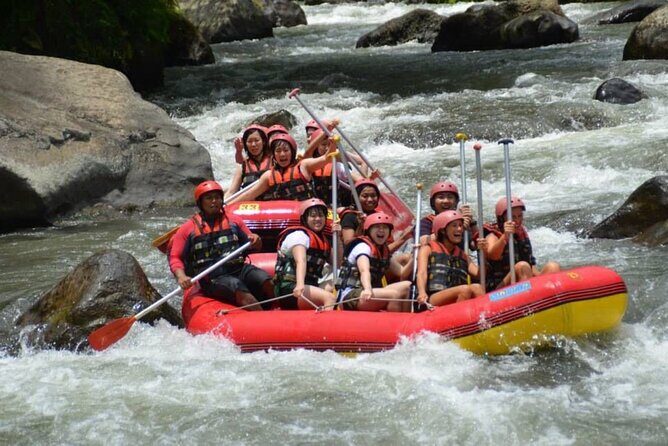 Private Day Trip Bali Rafting, Monkey Forest and Waterfall - Practical Tips for Travelers