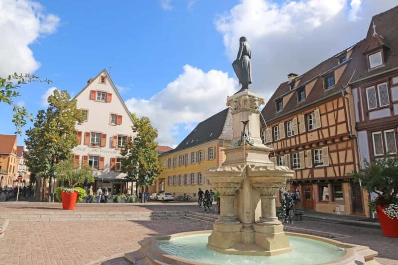 Private day trip: Basel to Alsace Wine Region, local driver - Scenic Drive and Vineyard Visit