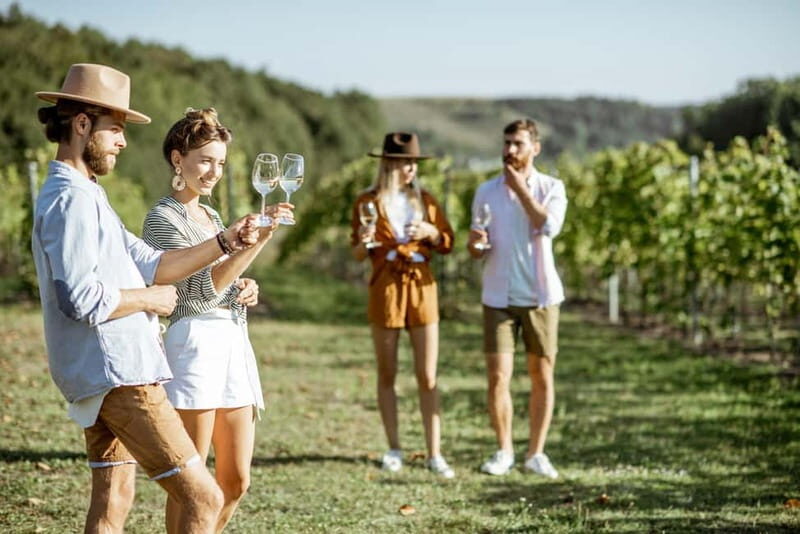 Private day trip: Basel to Alsace Wine Region, local driver - Who Will Love This Experience?