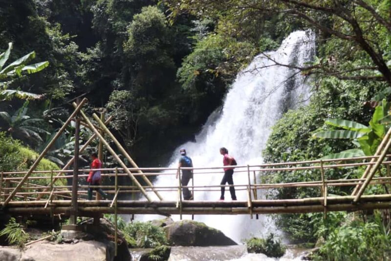Private Day Trip Doi Inthanon, Trekking, Elephant Sanctuary - Trekking the Pha Dok Siew Nature Trail
