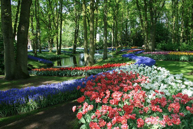 Private Day Trip from Amsterdam to Keukenhof with Entrance Tickets - The Journey to Keukenhof: What to Expect