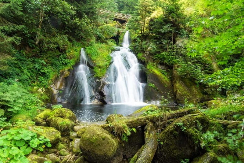 Private day trip from Basel to the Black forest and back - Exploring the Black Forest: What the Tour Offers