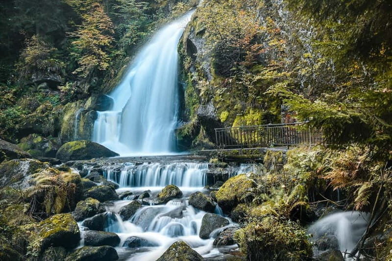 Private day trip from Basel to the Black forest and back - Why This Tour Offers Good Value