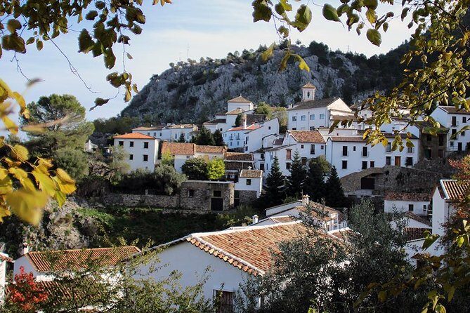 *Private Day Trip* from Jerez: The White Towns of Andalusia - What’s Included and What’s Not