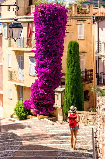 Private day trip from Monaco to the gems of French Riviera - An In-Depth Look at the Itinerary
