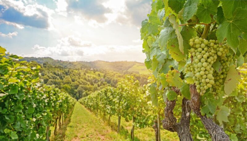 Private day trip from Vienna to Melk & Dürnstein in English - Frequently Asked Questions