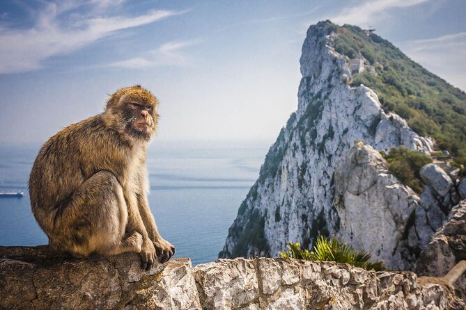 *Private Day Trip* Gibraltar and Vejer from Cádiz - Detailed Breakdown of the Itinerary