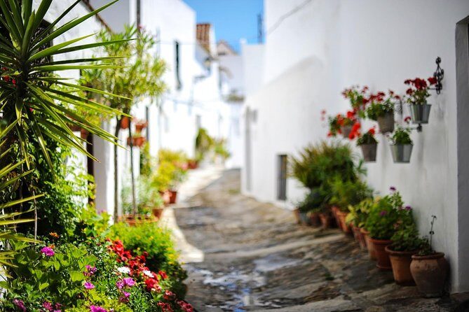 *Private Day Trip* Gibraltar and Vejer from Cádiz - The Sum Up