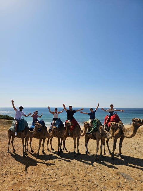 Private Day Trip: Gibraltar & (Tangier) Morocco from Seville - Pricing & Value