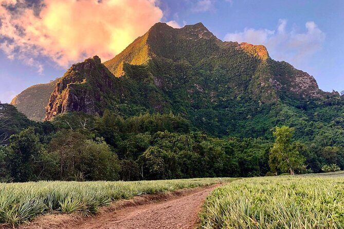 Private Day Trip Hike and Boat in Moorea - Exploring Moorea’s Trails and Cultural Landmarks