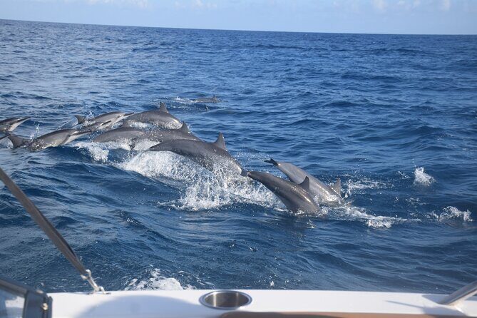 Private Day Trip Hike and Boat in Moorea - What Makes It Special