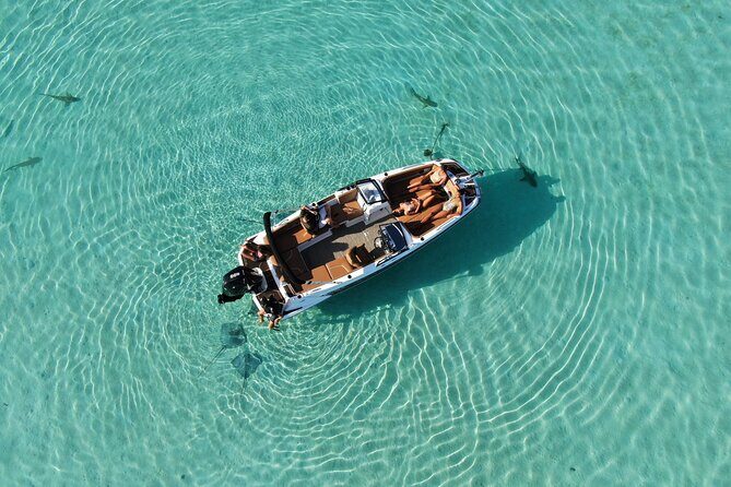 Private Day Trip Hike and Boat in Moorea - FAQ