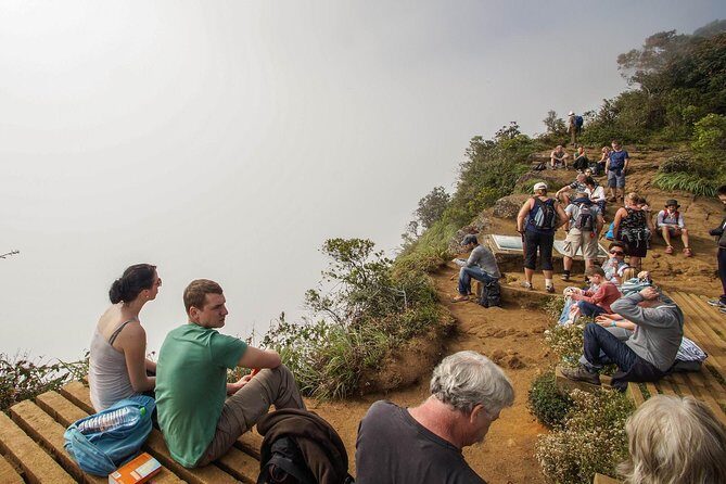 Private Day Trip: Horton Plains and Pedro Tea Factory from Nuwara Eliya - Who Is This Tour Best For?