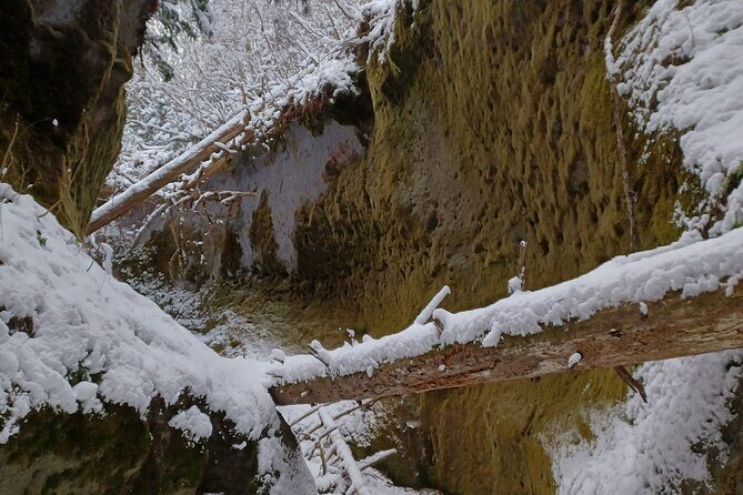 Private Day Trip of Lake Shikotsu and Moss Canyon - The Sum Up: Worth Your Time for Authentic Natural Encounters