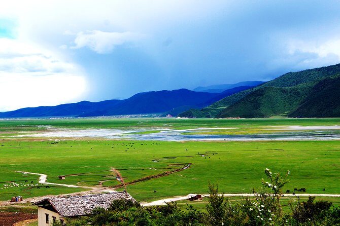 Private Day Trip of Shangri-La with Tibetan family visit - Authentic Encounters and Local Flavor