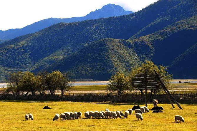 Private Day Trip of Shangri-La with Tibetan family visit - FAQ