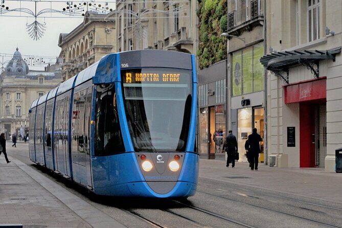 Private day trip: Paris to Reims & back, English speaking driver - Who Should Consider This Tour?