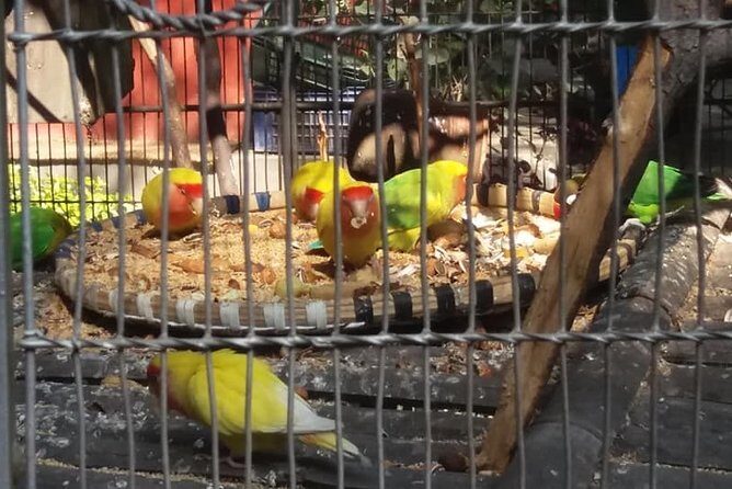 Private Day Trip To Central Zoo At Jawalakhel, Kathmandu - FAQ