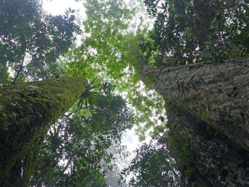 Private Day Trip To Cuc Phuong Van Long/Guide/Lunch/Car/Meal - Who Should Consider This Tour?