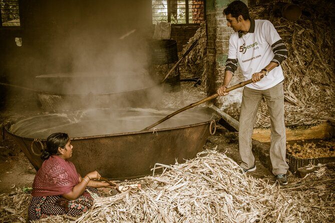 Private Day Trip to Gangaikonda Cholapuram with Guide and Lunch - Who Will Find This Tour Valuable?