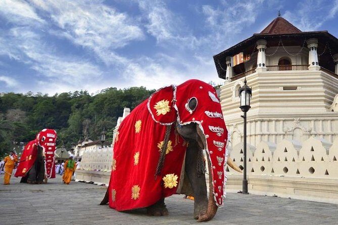 Private Day Trip To Highlights in Kandy. - FAQ