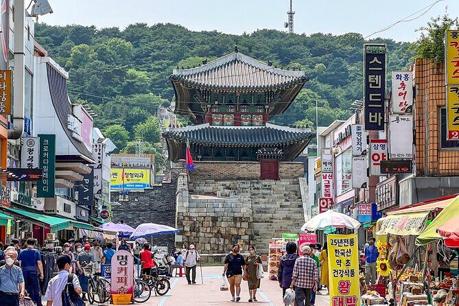 Private Day Trip to Korean Folk Village and Hwaseong Fortress - Who Will Love This Tour?