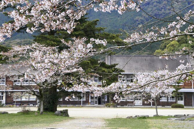 Private Day Trip to Kumamoto & Asakura from Fukuoka with Minibus - A Detailed Look at the Itinerary