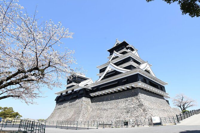 Private Day Trip to Kumamoto & Asakura from Fukuoka with Minibus - Who This Tour Is Best For