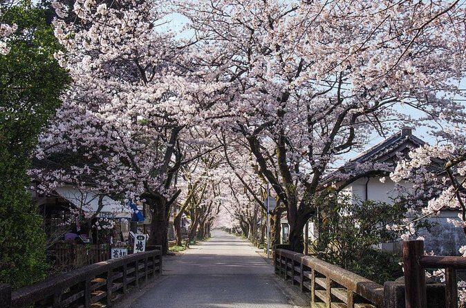 Private Day Trip to Kumamoto & Asakura from Fukuoka with Minibus - FAQ